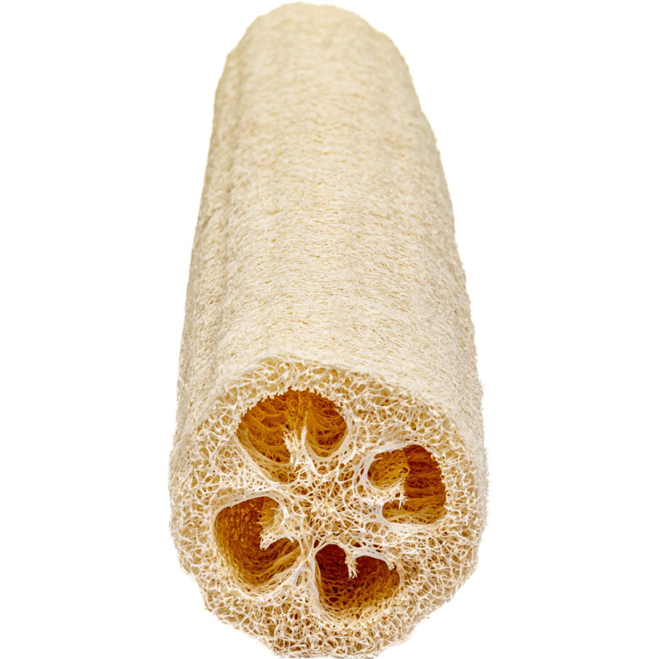 Common Loofah imported from South-East Asia - Natural Bath & Body Shop