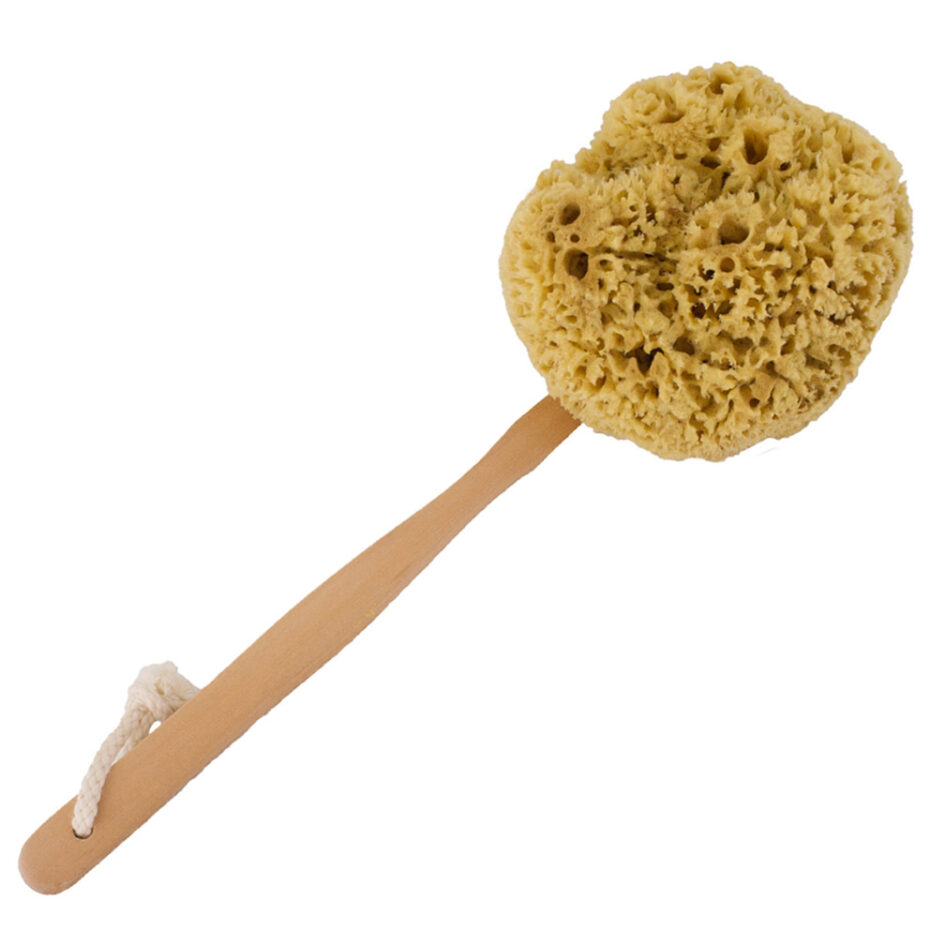Natural Sea Sponges – Natural Bath & Body Shop